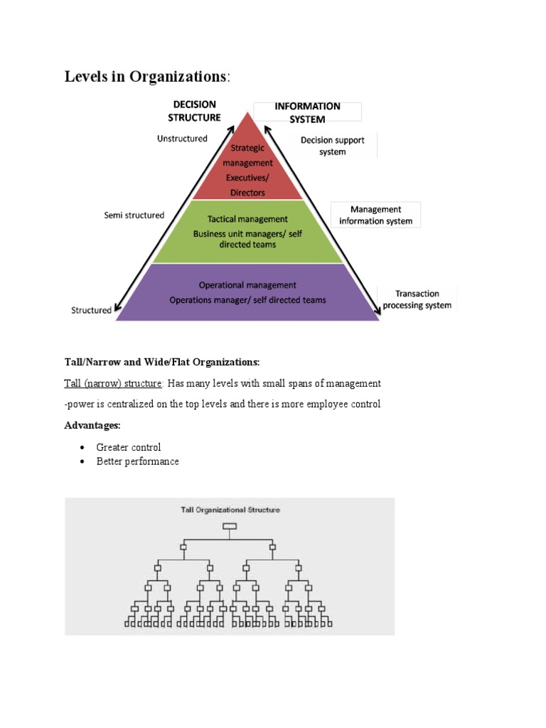 Levels in Organizations | PDF