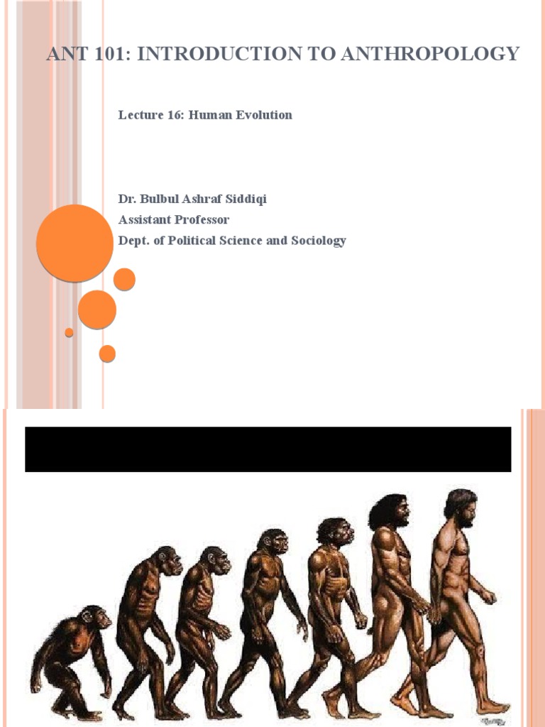 Ant 101: Introduction To Anthropology: Lecture 16: Human Evolution ...
