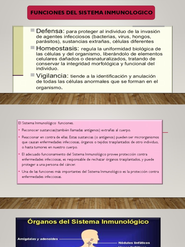 Funciones Del Sistema Inmunologico | PDF | Linfocitos | Sistema inmune