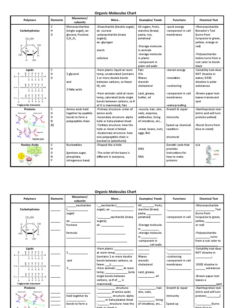 Organic Molecules Chart: Polymers Elements Monomers/ Subunits More ...
