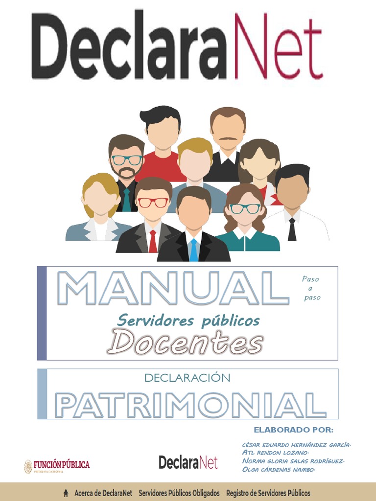 Manual Declaranet Cano | PDF | Informática y tecnología de la ...