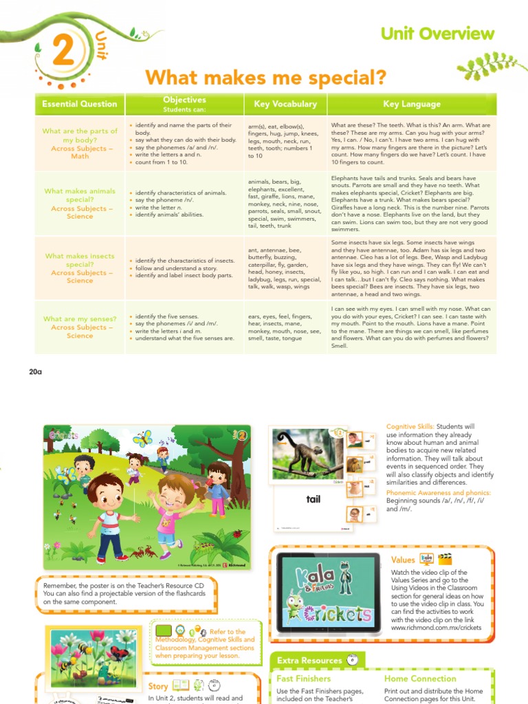 What Makes Me Special?: Unit Overview | PDF | Insects | Elephant