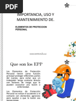 EPP Mapa Mental | PDF