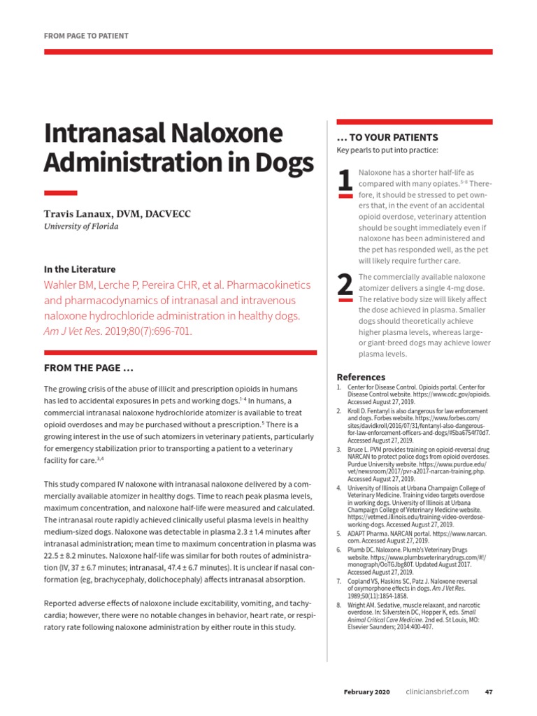 FPTP - Intranasal Naloxone Administration in Dogs | PDF | Naloxone | Opioid