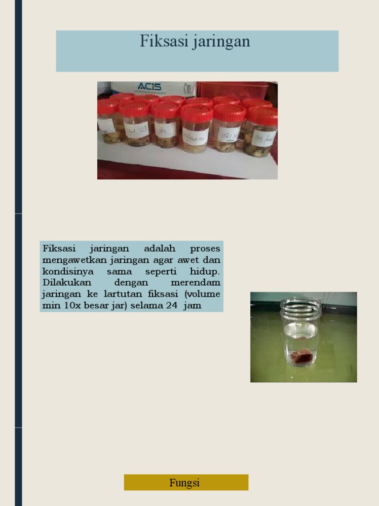 Proses dan Fungsi Fiksasi Jaringan | PDF | Karier & Perkembangan ...