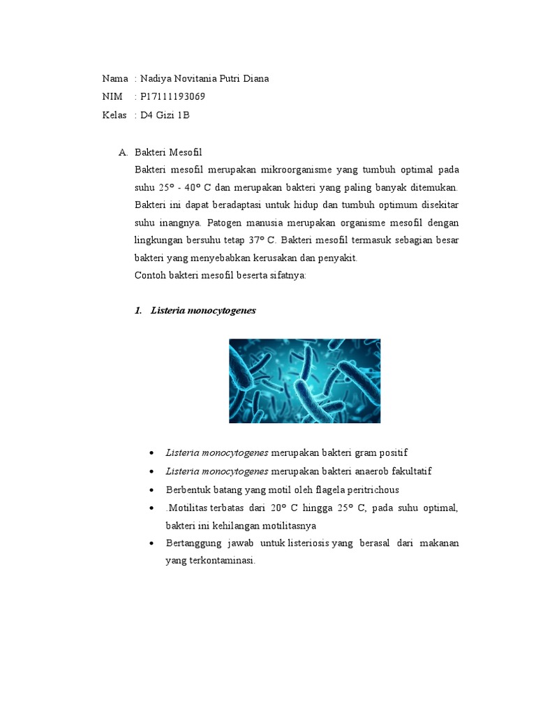 Bakteri Mesofil Psikrofil | PDF