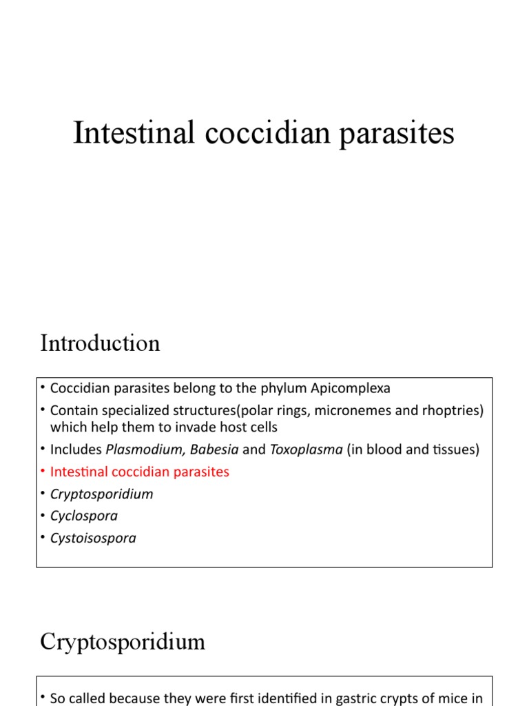 Intestinal Coccidian Parasites | PDF | Immunology | Medical Specialties