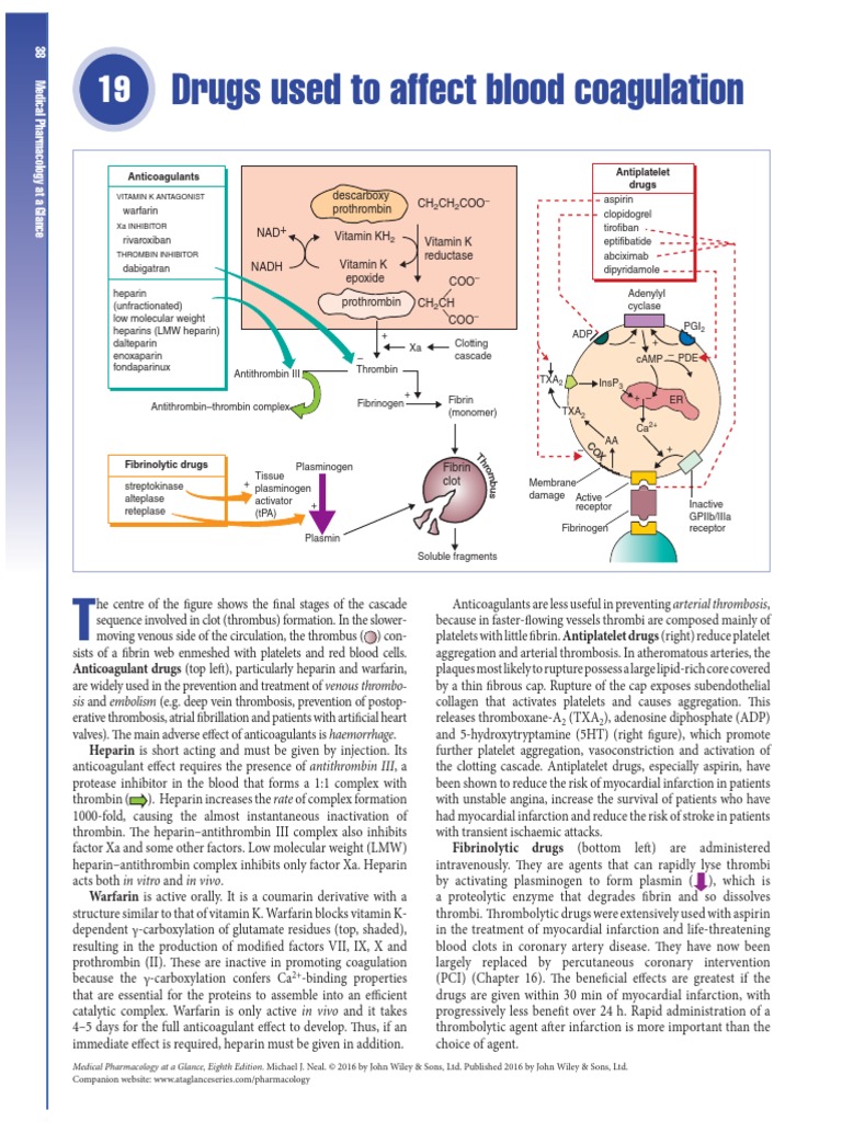 Anticoagulants, Antiplatelets & Fibrinolytics | PDF | Thrombus | Coagulation