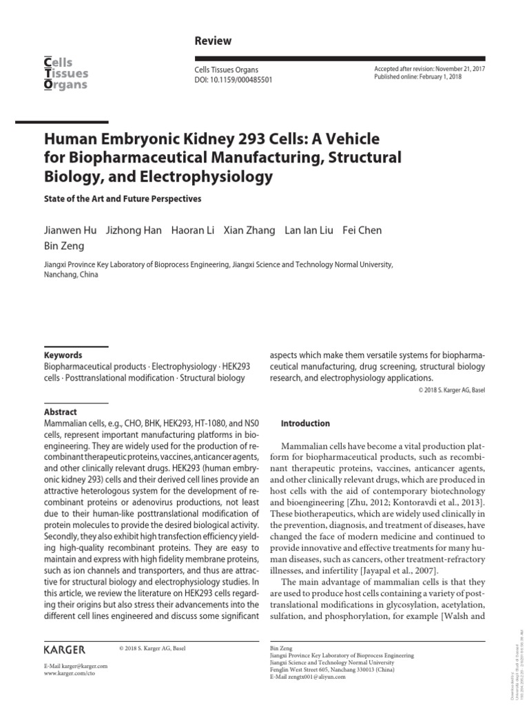 ART Human Embryonic Kidney 293 Cells A Vehicle For Mototaxis PDF | PDF ...