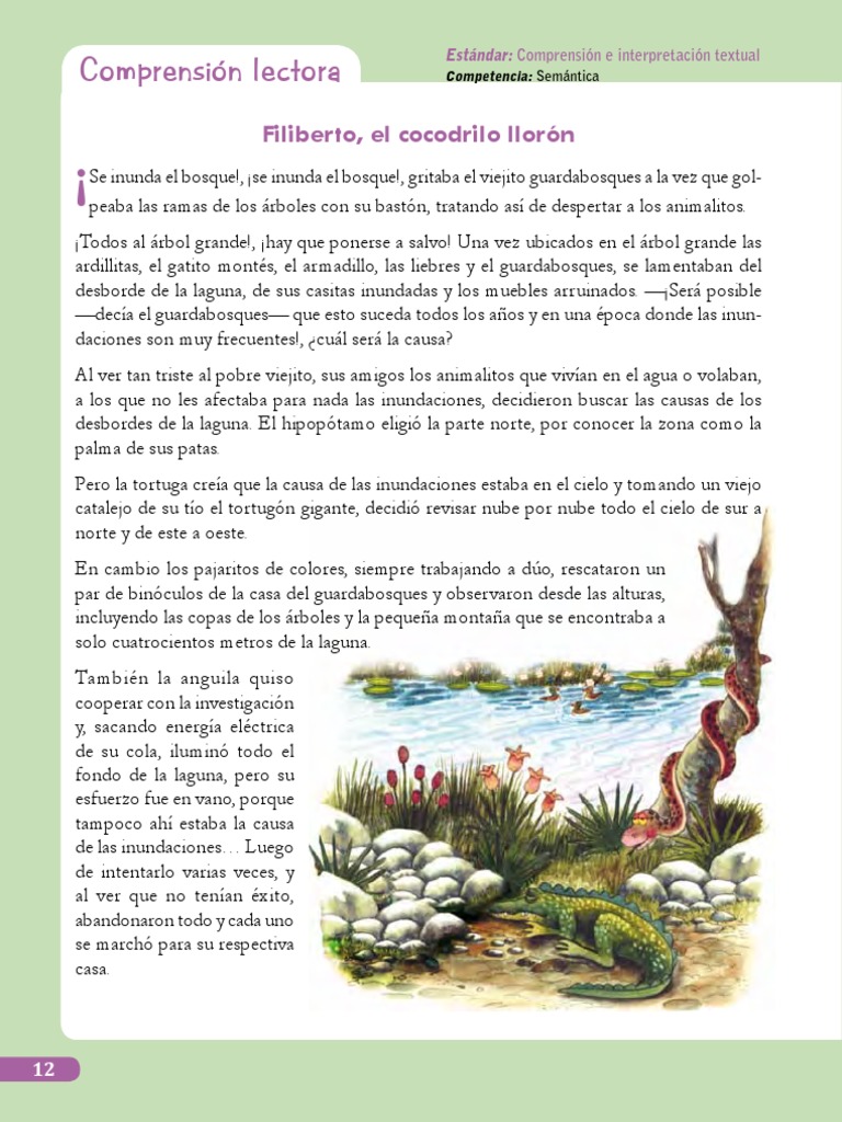 Comprensión lectora sobre las causas de las inundaciones | PDF