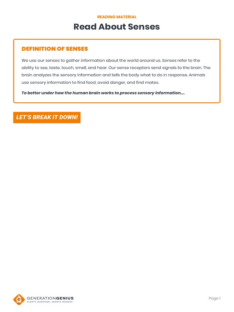 Brain Processing of Senses Reading Material Grades 3 5 | PDF | Senses ...
