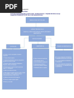 Flujograma Proceso de Facturación en Servicios de Salud | PDF
