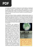 Microplasticos en Playa | PDF | El plastico | Residuos