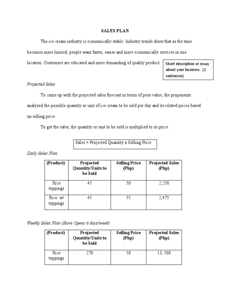 Sales Plan Template | PDF