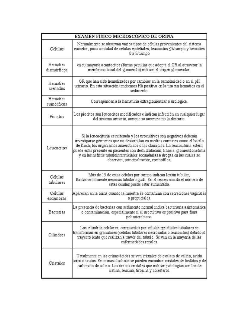 Examen Microscópico de Orina: Células y Cilindros | PDF | Riñón | Anatomía