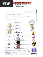 Collins Infinity Flyer 2023 | PDF | Learning | Project Based Learning