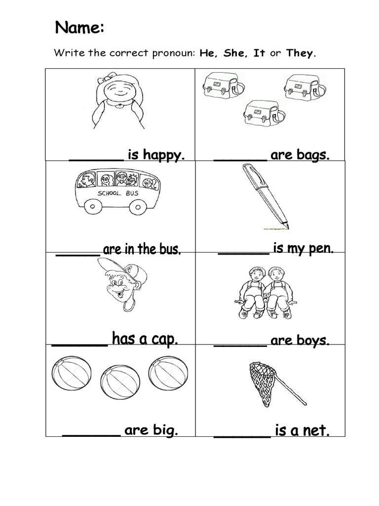 Write The Correct Pronoun: He, She, It or They | PDF