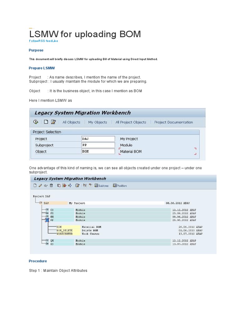 LSMW For Uploading BOM: Purpose | PDF | Comma Separated Values | Microsoft Excel