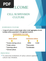 Rosie The Transgenic Cow | PDF