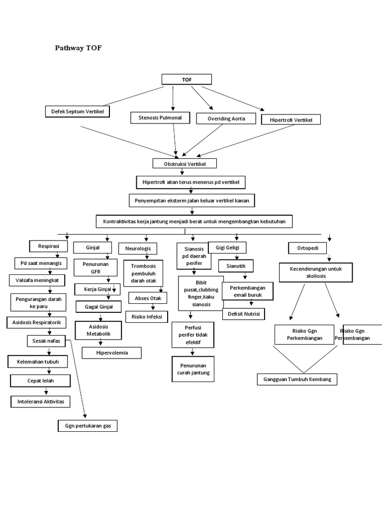 Pathway TOF dan Komplikasi Kardiovaskular | PDF