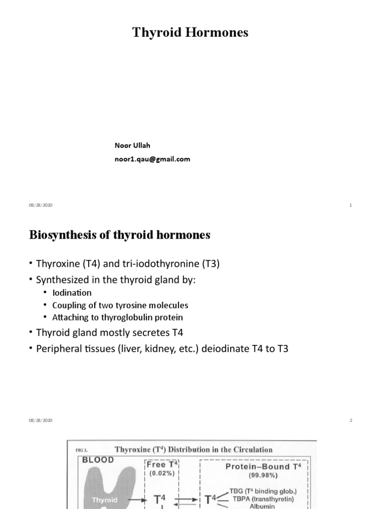 Thyroid Hormones: Noor Ullah | PDF | Hypothyroidism | Thyroid ...