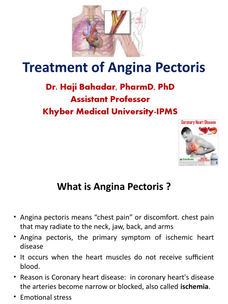 Treatment of Angina Pectoris-2 | PDF | Physiology | Angiology