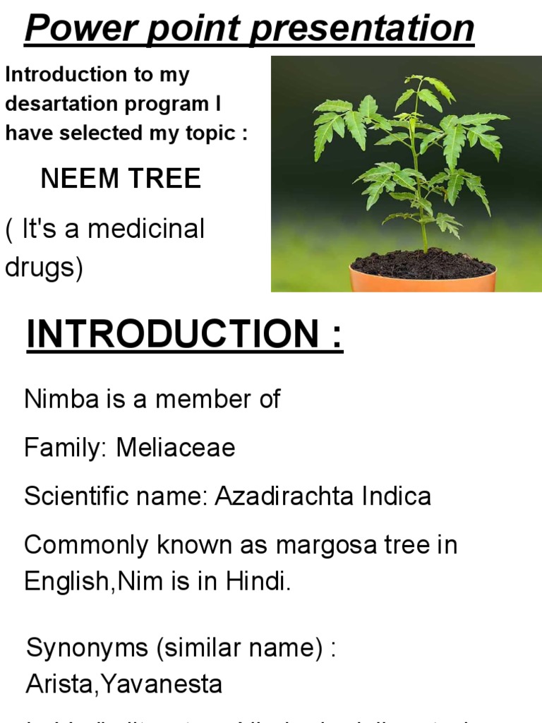 Power Point Presentation: Neem Tree | PDF