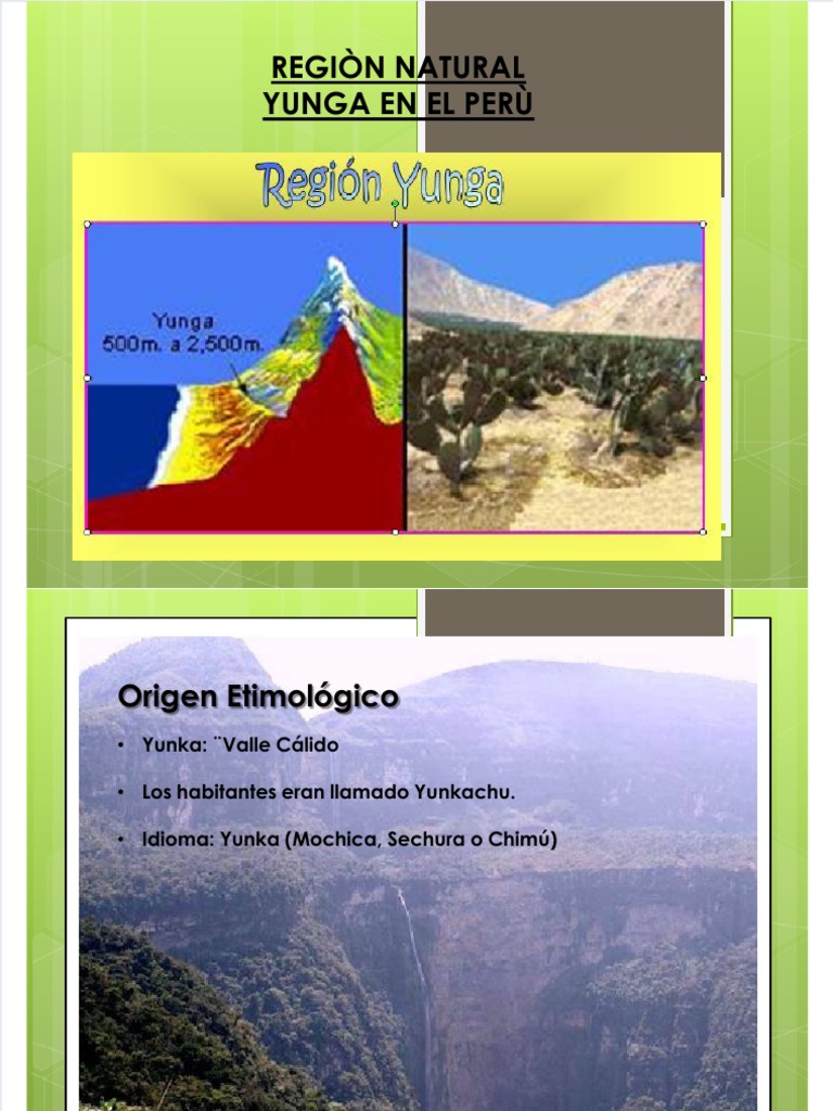 Geografia Region Yunga PDF | PDF | Ciencias de la Tierra | Geografía