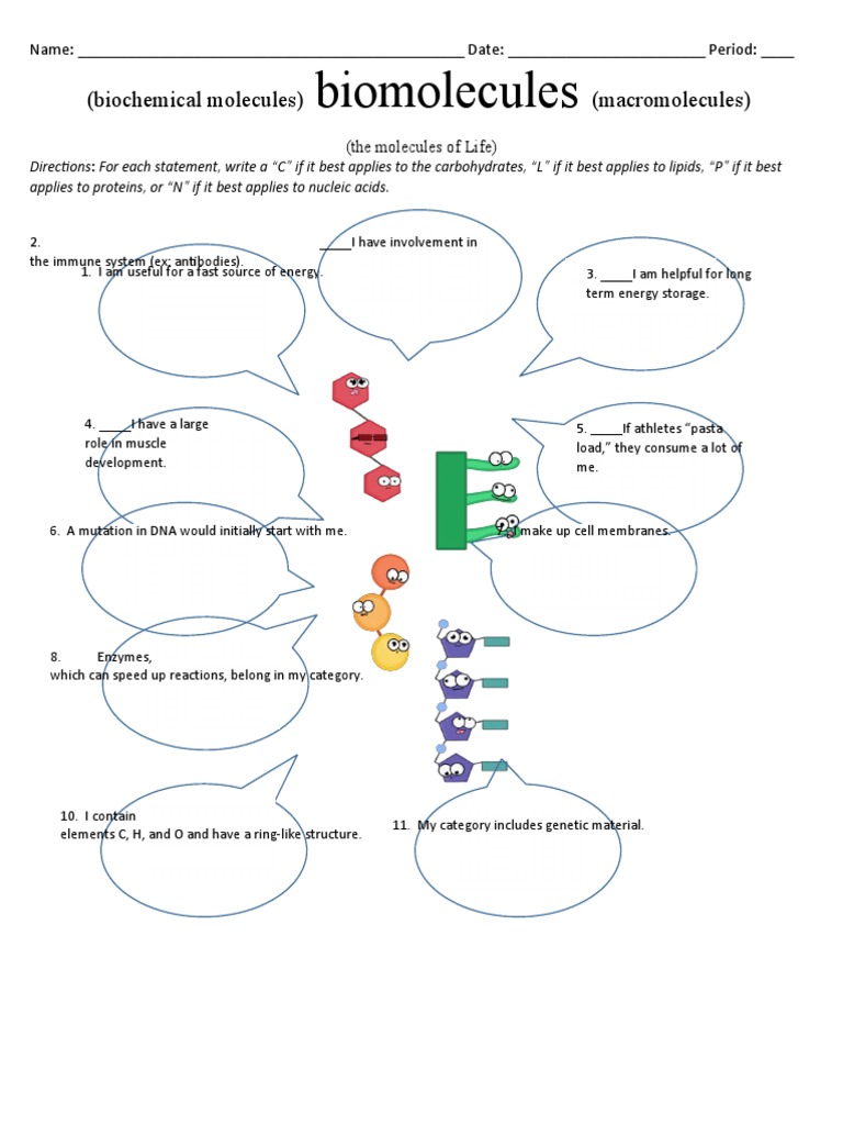 2017 OL Biomolecule REVIEW | PDF | Biomolecules | Lipid
