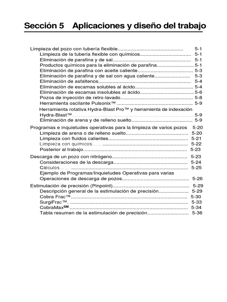Coiled Tubing Handbook - Sec 05 (Spanish) | PDF | Petróleo | Ácido