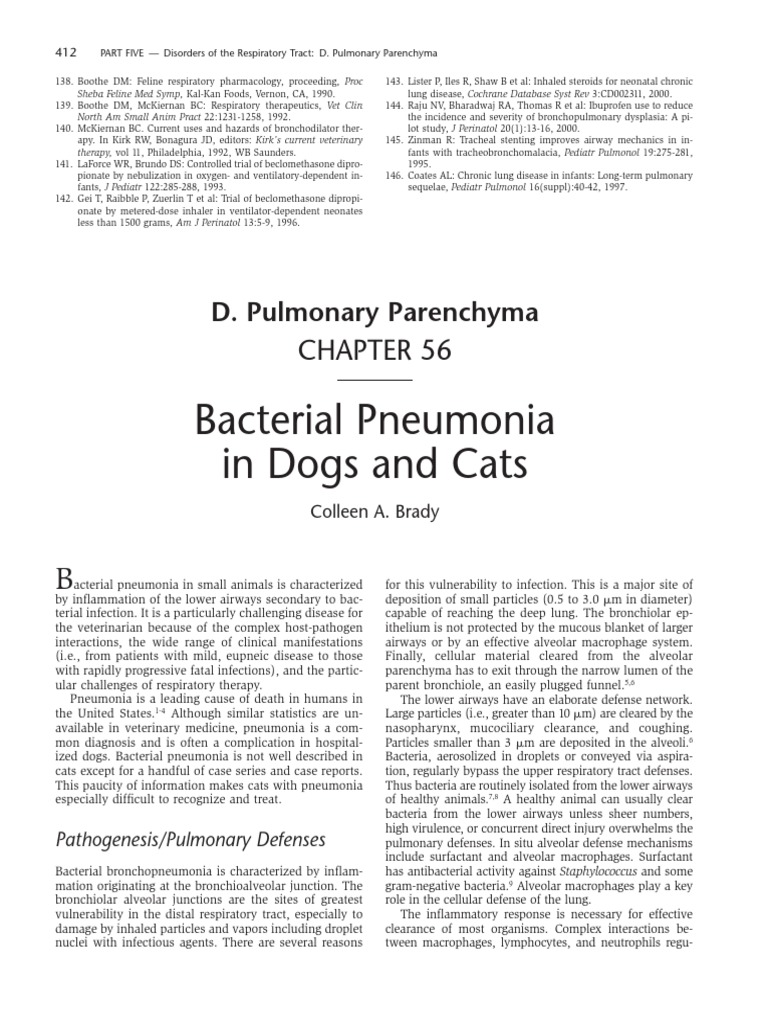 Bacterial Pneumonia in Dogs and Cats | PDF | Pneumonia | Respiratory Tract