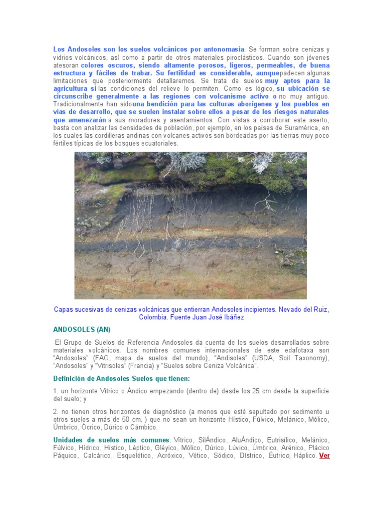 Los Andosoles Son Los Suelos Volcánicos Por Antonomasia | PDF | Suelo ...