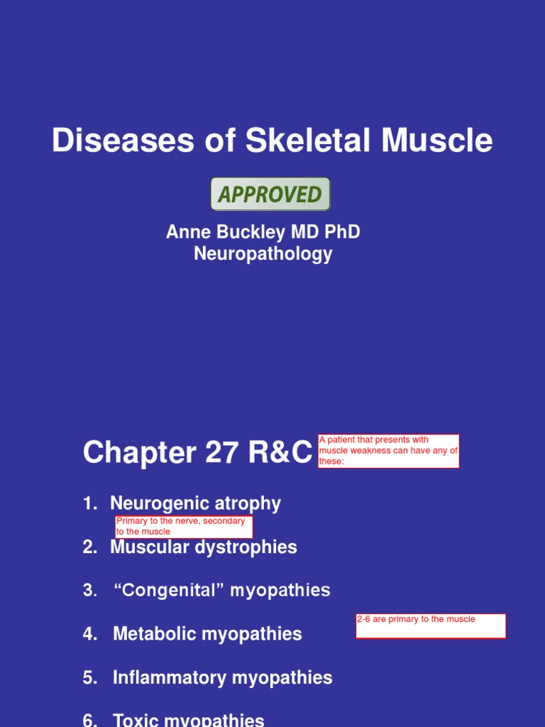 Diseases of Skeletal Muscle Final | PDF | Neuromuscular Junction ...