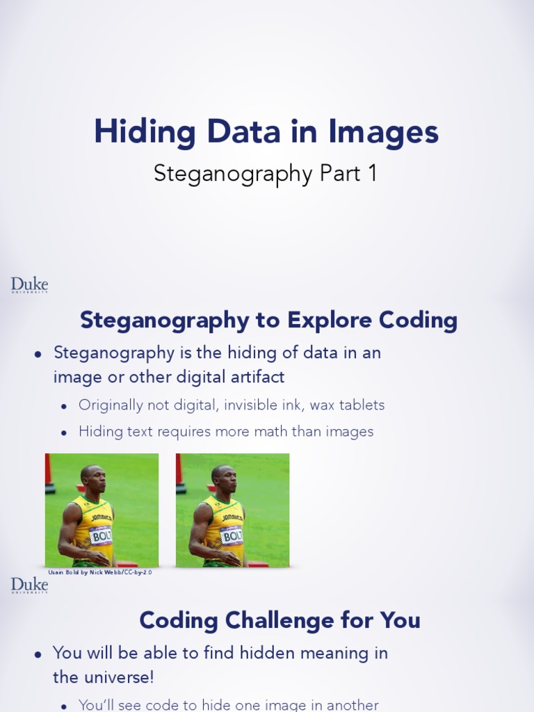 Hiding Data in Images: Steganography Part 1 | PDF | Rgb Color Model | Pixel