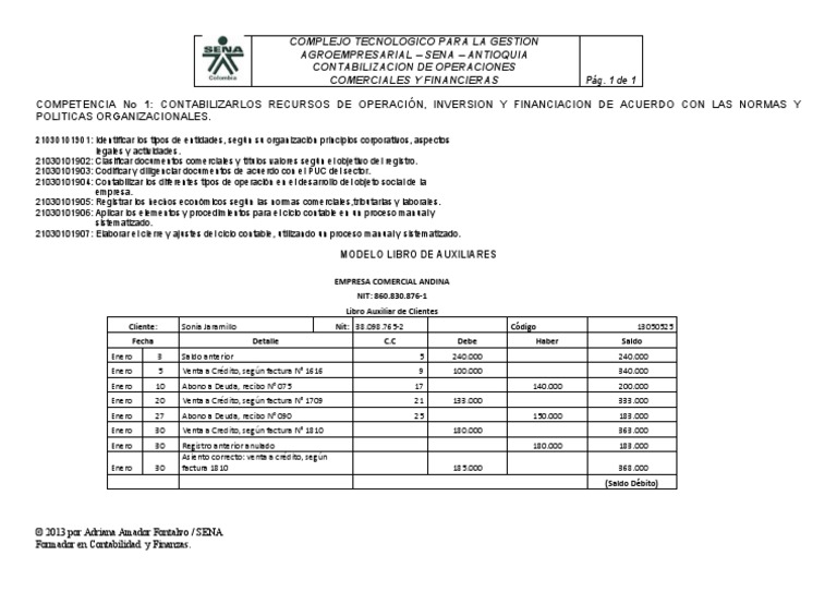 Modelo de Libro Auxiliar | PDF | Factura | Contabilidad