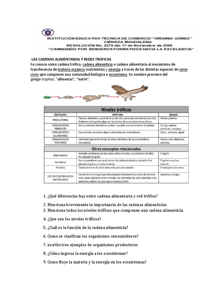 Las Cadenas Alimentarias y Redes Troficas | PDF
