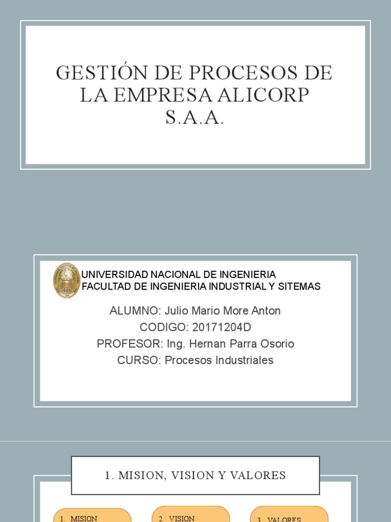 Gestión de Procesos de La Empresa Alicorp S.A.A. | PDF | Marketing | Economias
