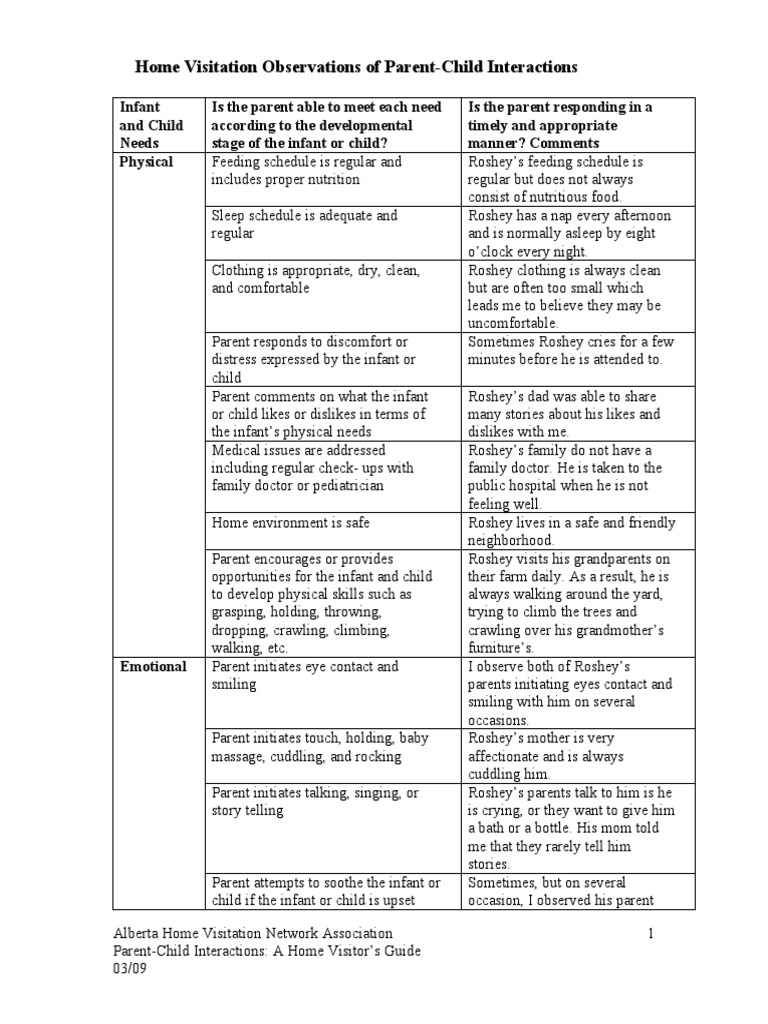 Parent-Child Interaction Observations | PDF | Infants | Parent