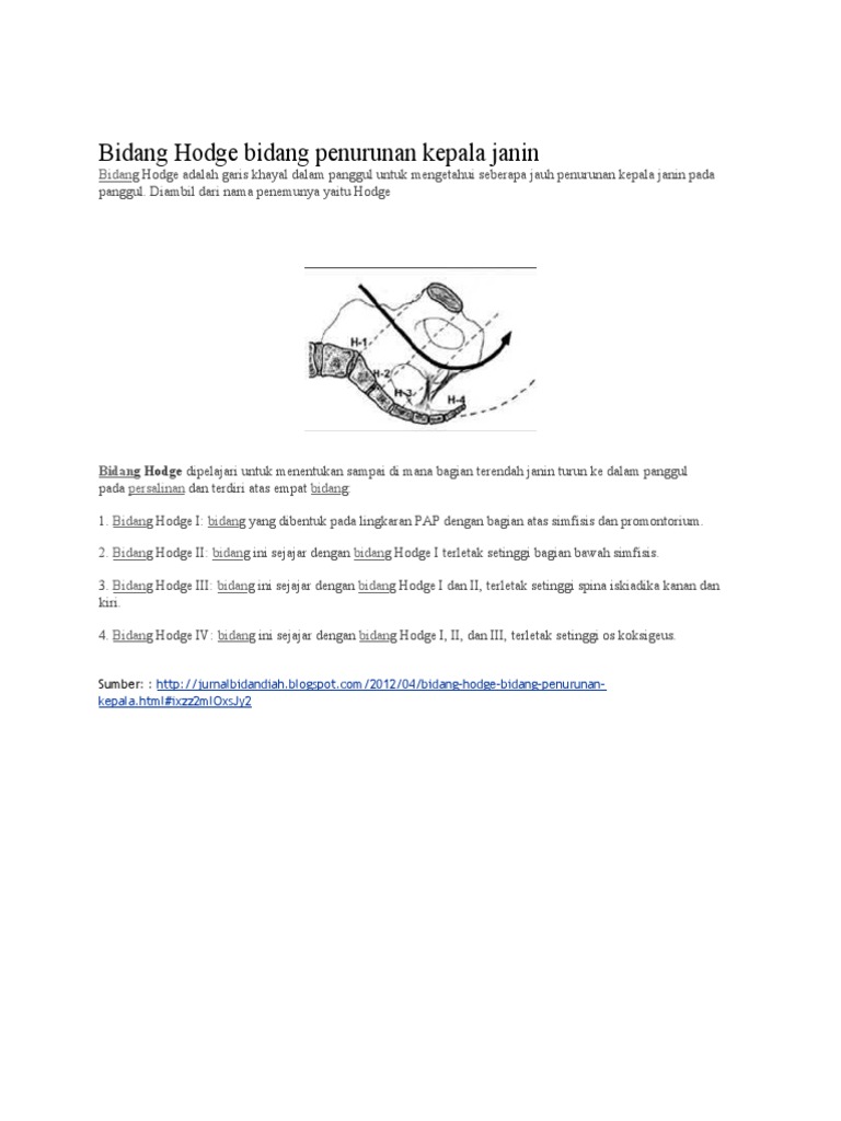 Bidang Hodge Bidang Penurunan Kepala Janin | PDF