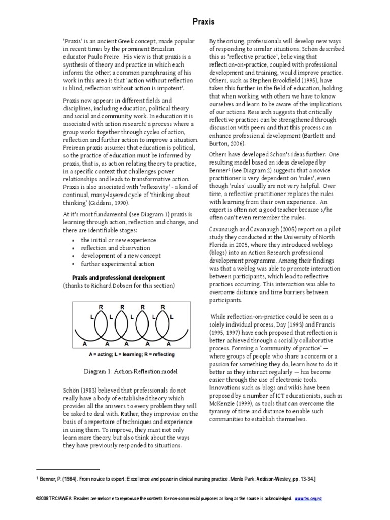 Praxis: Praxis and Professional Development | PDF | Reflective Practice ...