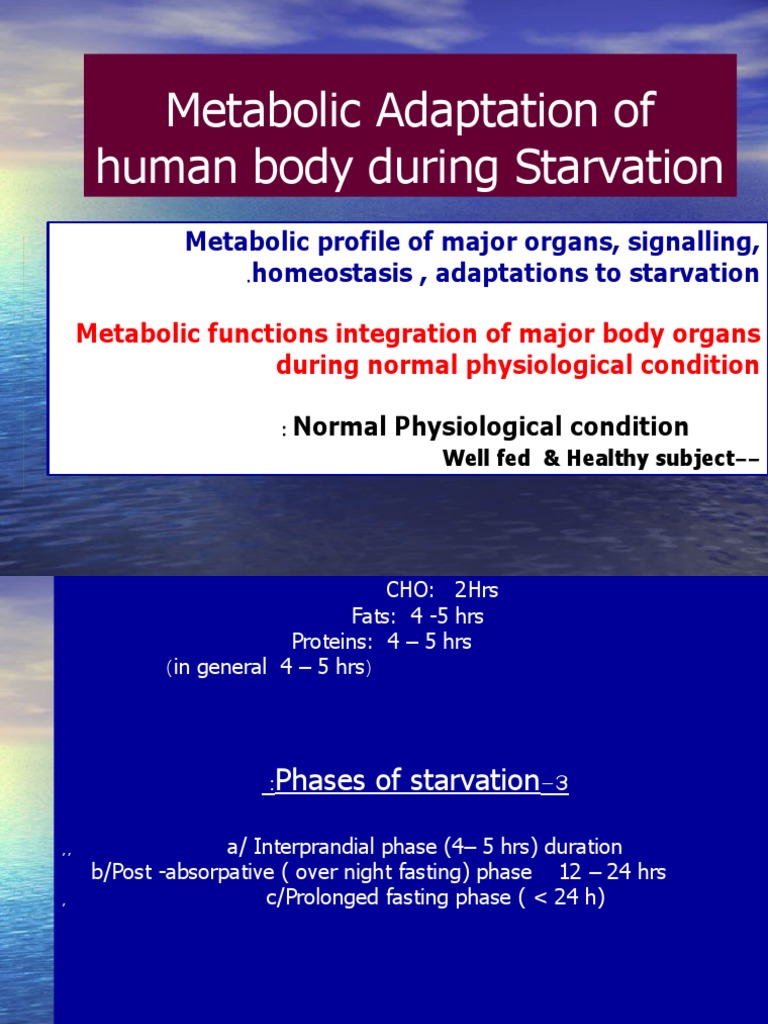 Metabolic Adaptation of Human Body During Starvation | PDF | Glycogen | Glucose
