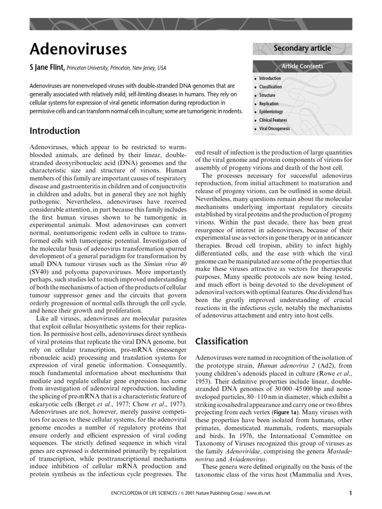 Adenoviruses: S Jane Flint | Download Free PDF | Adenoviridae | Virus