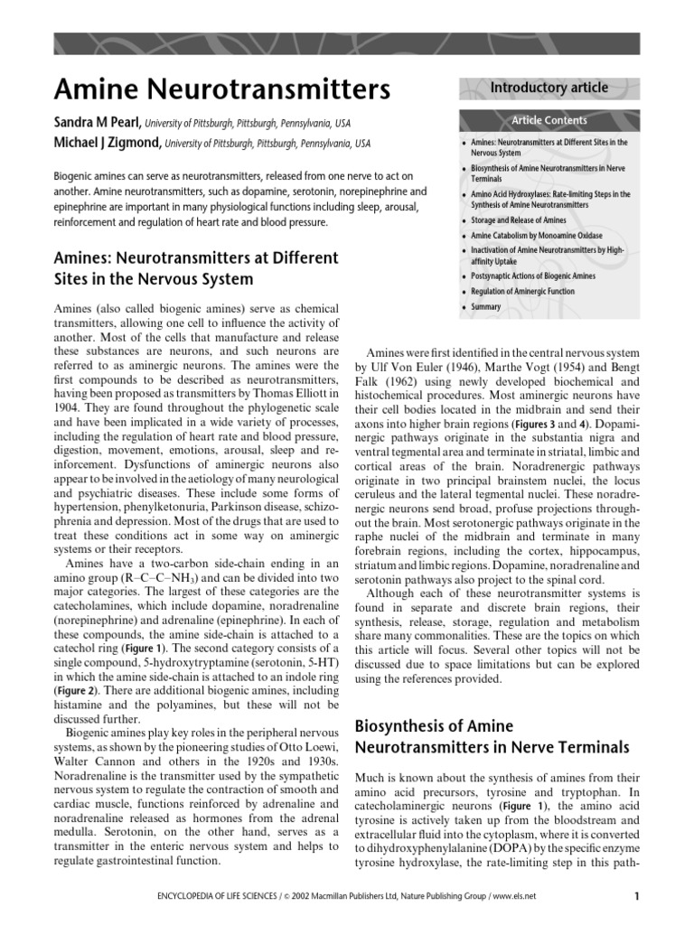 Amine Neurotransmitters | PDF | Neurotransmitter | Norepinephrine