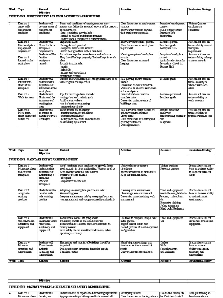 Grade 10 SCCP Scheme 2019 | Download Free PDF | First Aid | Emergency