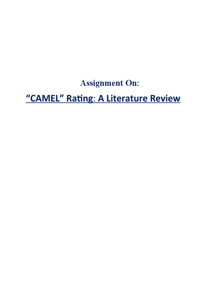 "CAMEL" Rating: A Literature Review: Assignment On | PDF | Banks ...