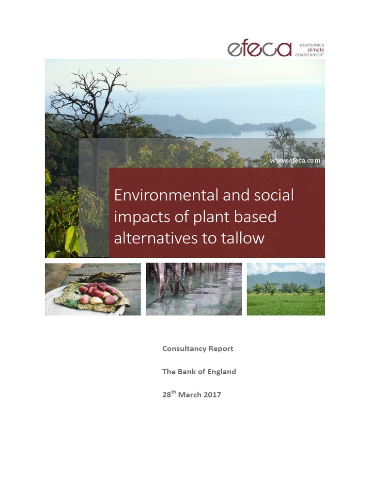 Efeca Report PDF | PDF | Palm Oil | Agriculture