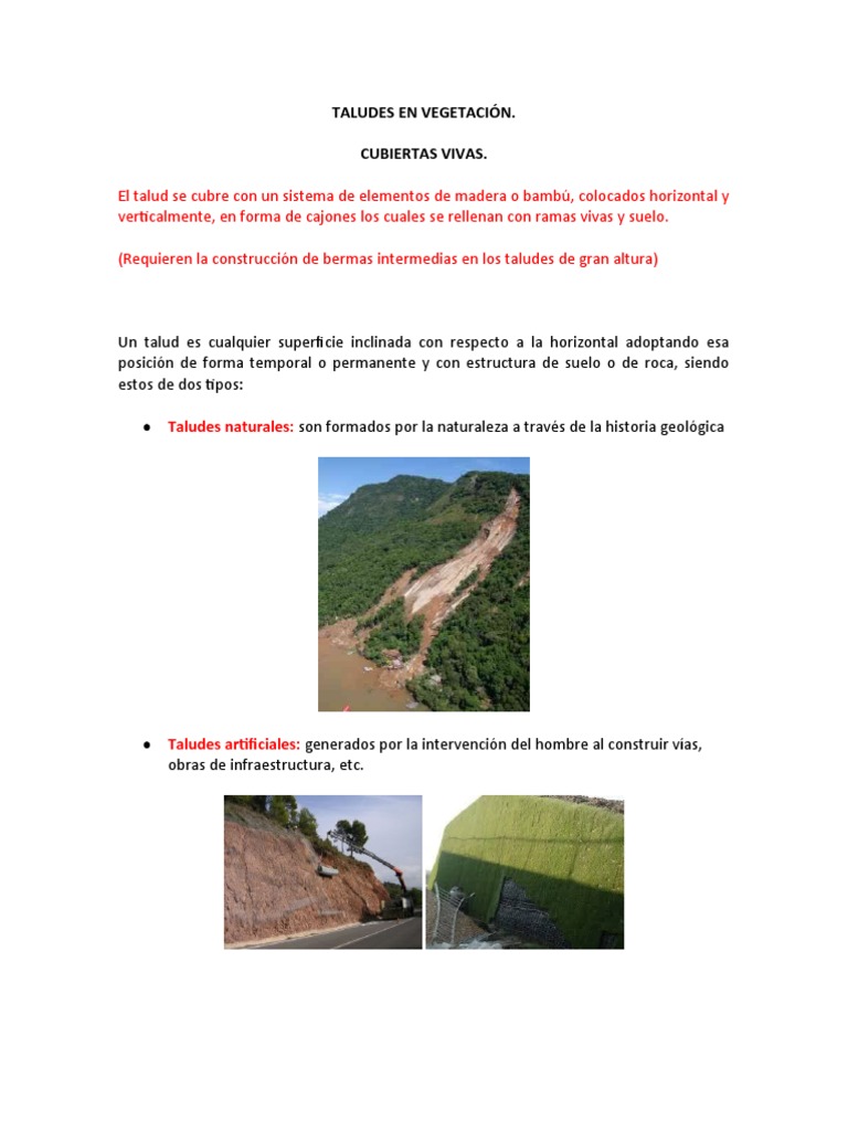 Estabilización de Taludes con Vegetación | PDF | Suelo | Falla (geología)