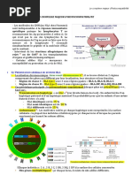 Cours Typage HLA, Cours D'immunologie. | PDF | HLA (antigène ...
