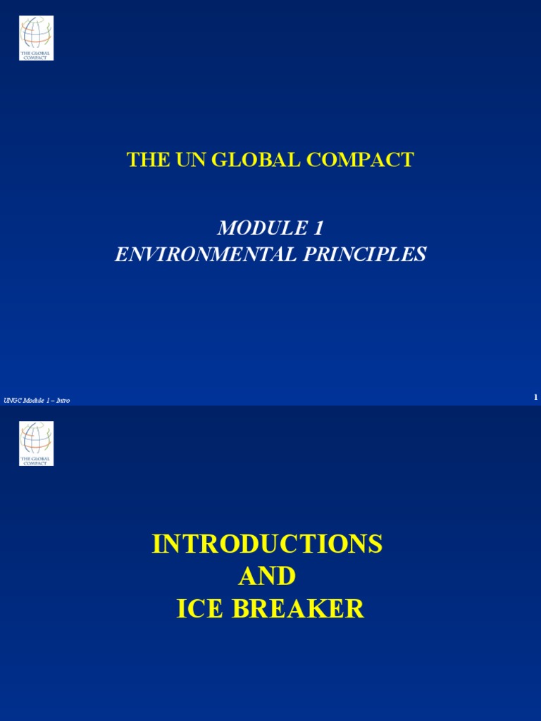 The Un Global Compact: Environmental Principles | PDF | International ...