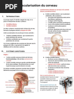 ANATOMIE DU TRACTUS OPTIQUE Zio | PDF | Thalamus | Système nerveux